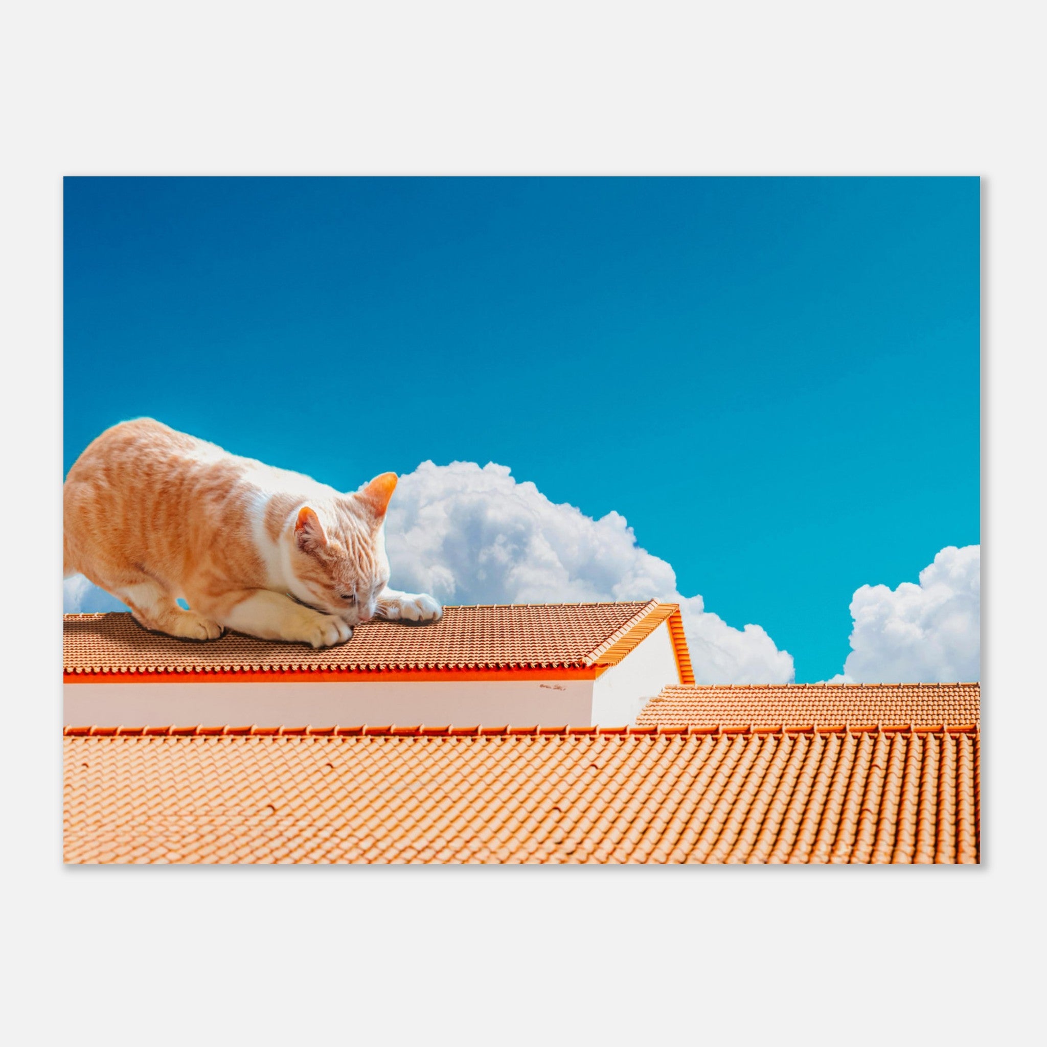Cat Scratching Post Print – ShakaylaMorrow